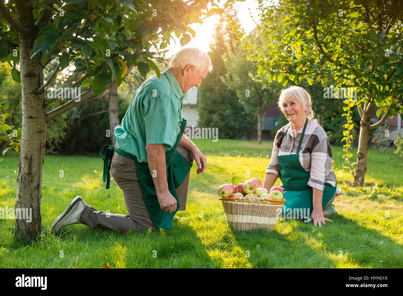 Gardeners basket hi-res stock photography and images - Alamy