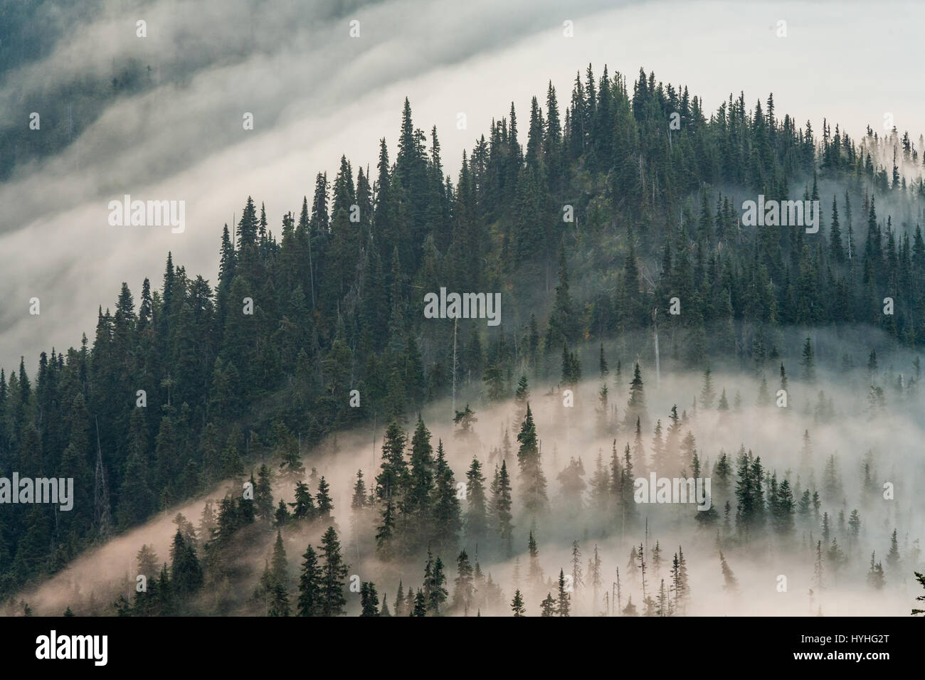 Hurricane ridge washington hi-res stock photography and images - Alamy