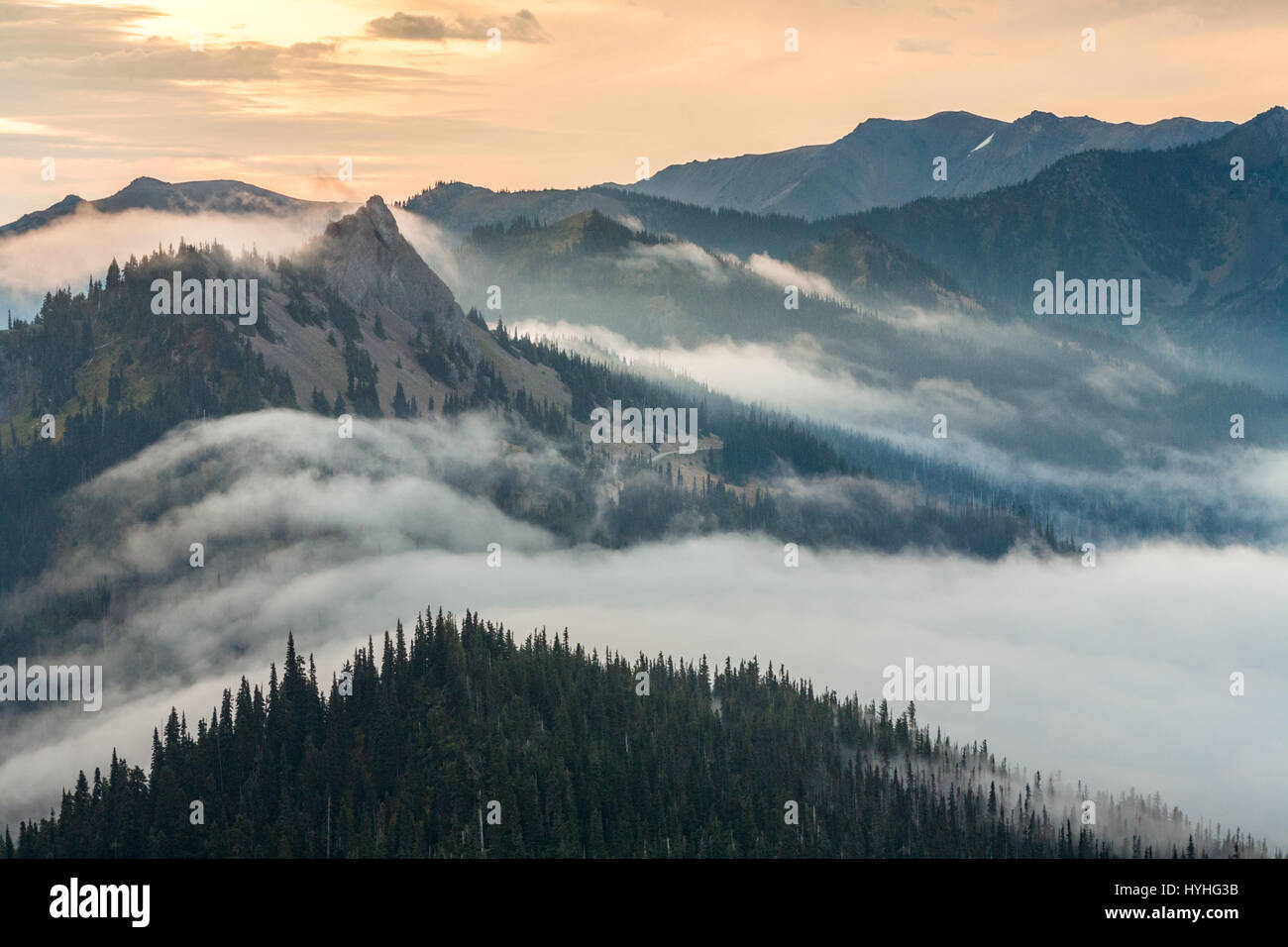 Sunrise and fog at Hurricane Ridge, Olympic National Park, Washington ...