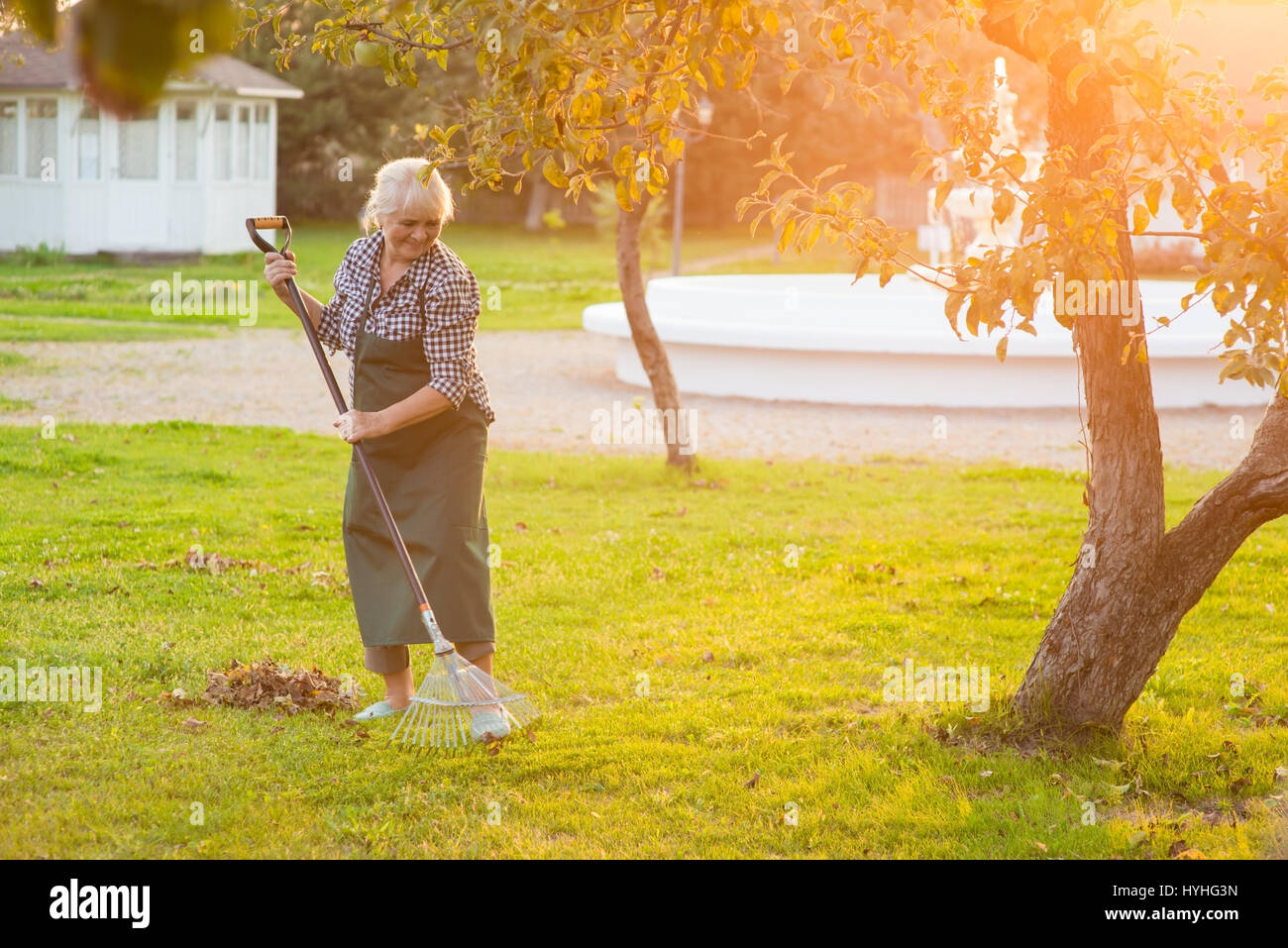 Elderly woman working with rake Stock Photo - Alamy