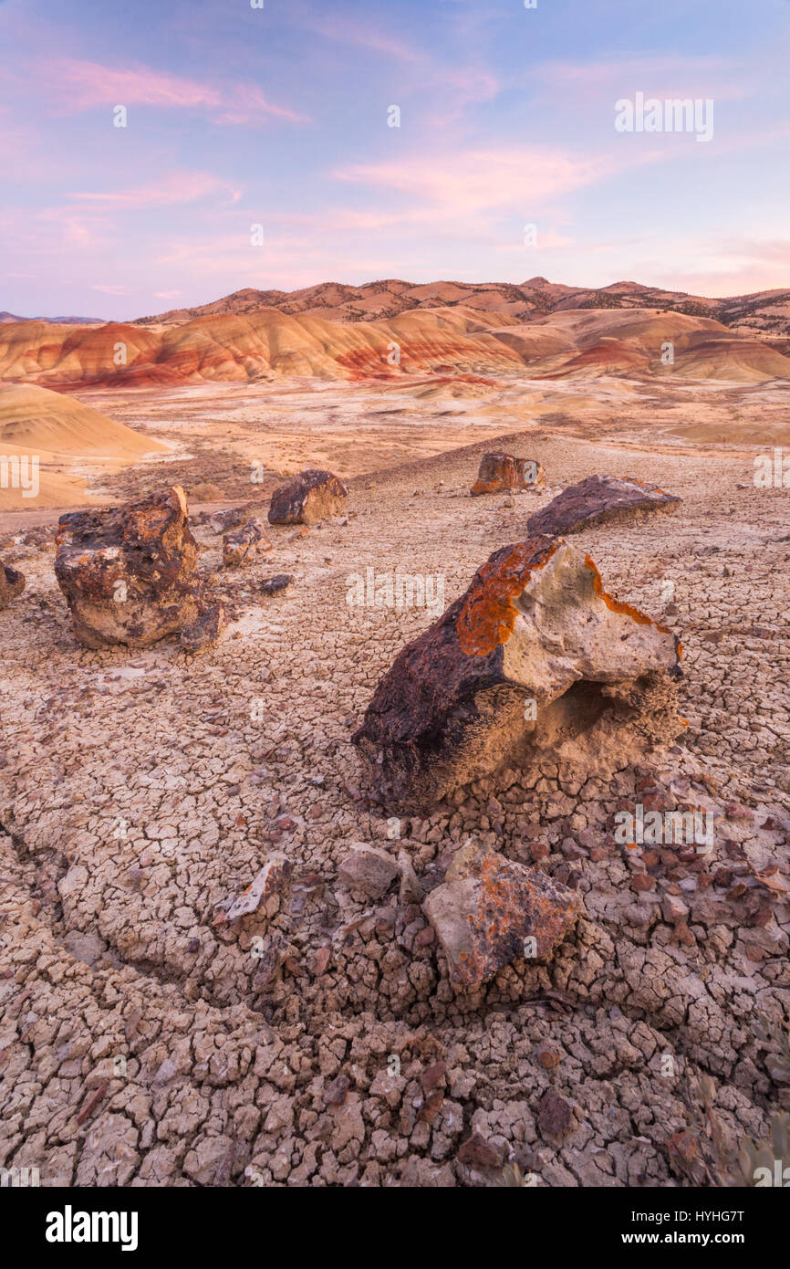 Lichen in the desert hi-res stock photography and images - Alamy