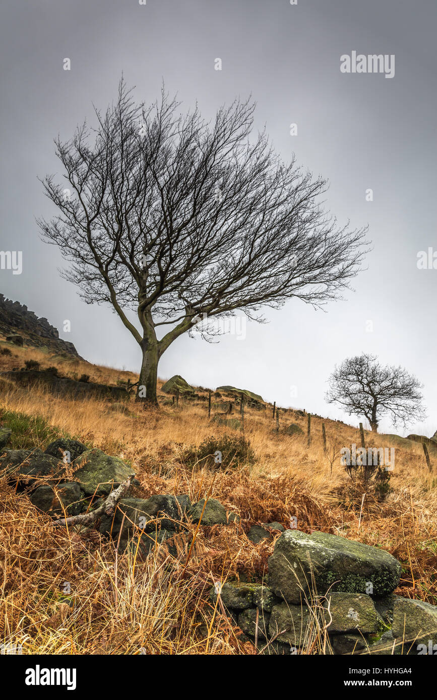 Wimberry dovestone hi-res stock photography and images - Alamy