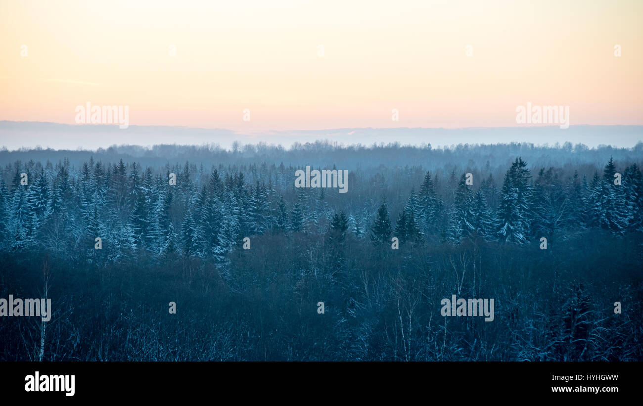 Winter park in cold morning with snow and some trees Stock Photo - Alamy