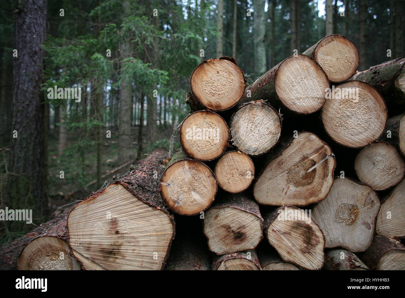 Pieced wood hi-res stock photography and images - Alamy