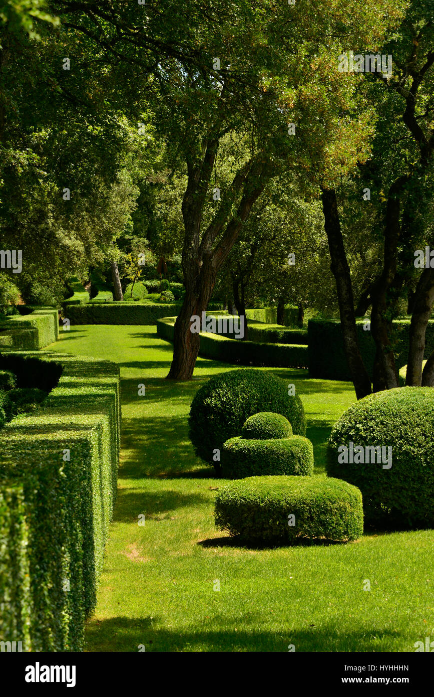 Portrait view of a manicured garden with lush summer foliage and hedges ...