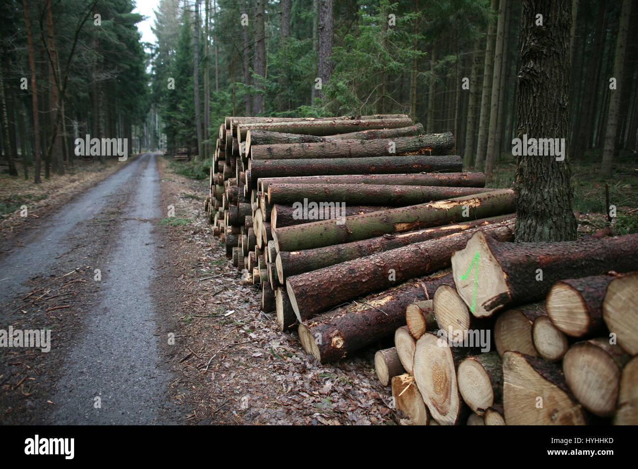 Pieced wood hi-res stock photography and images - Alamy