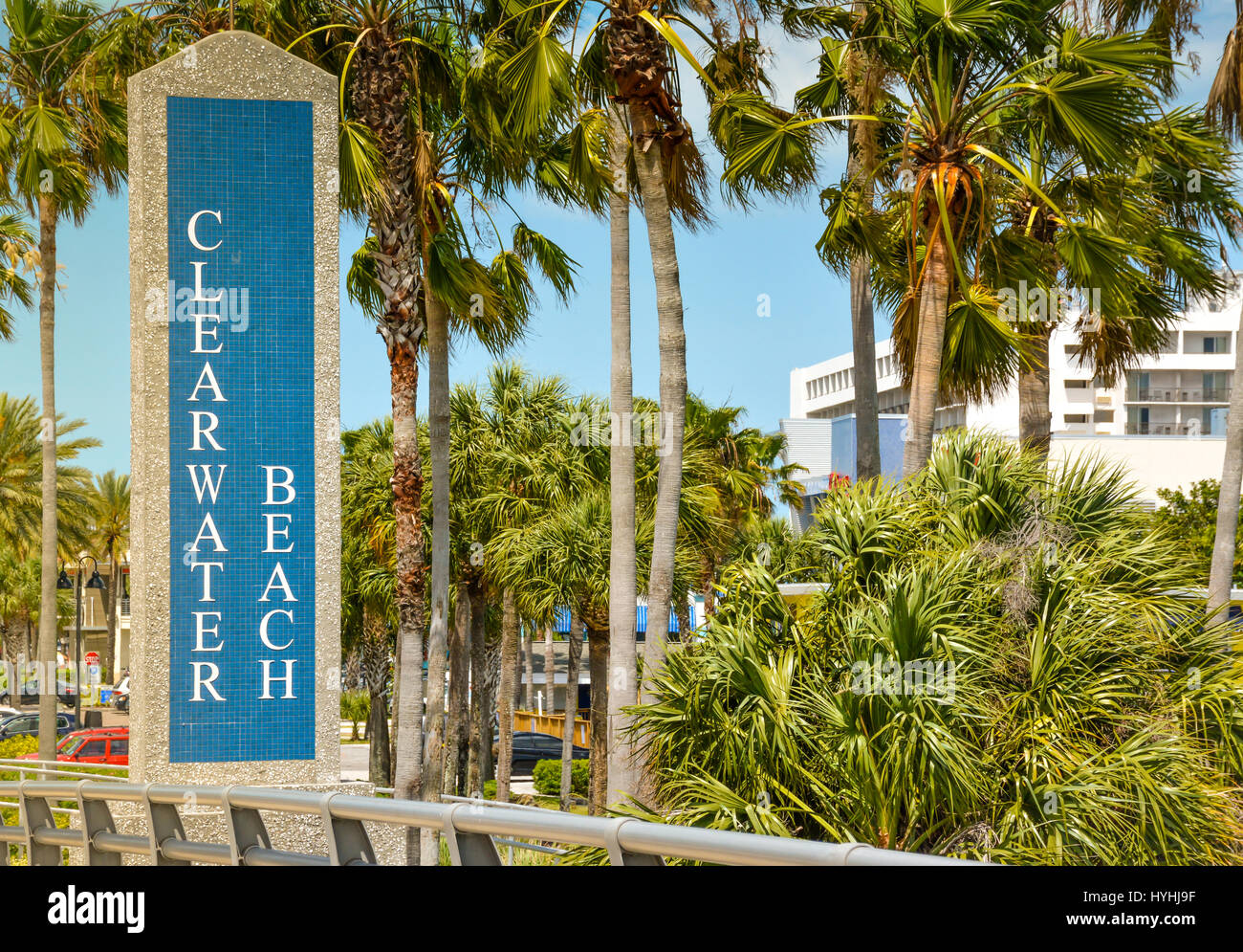 Sign for Clearwater Beach, amongst the beautiful Palm Tree entry onto ...