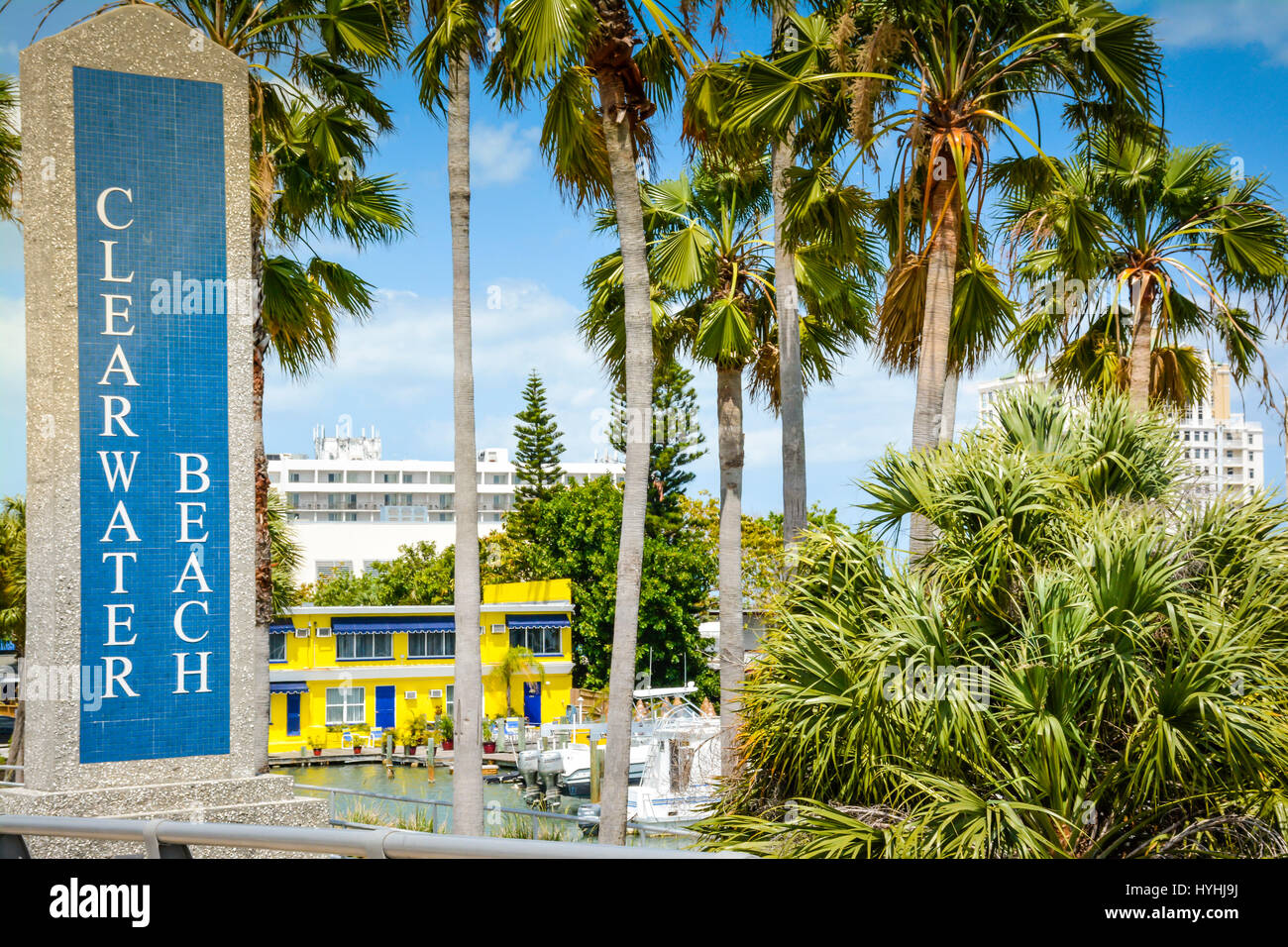 Sign for Clearwater Beach, amongst the beautiful Palm Tree entry onto ...