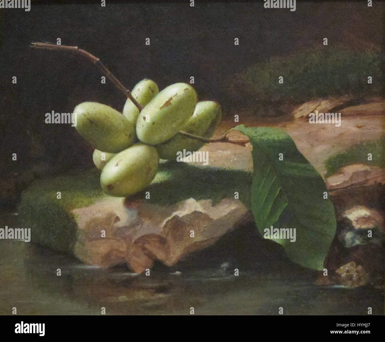 'Still life with Paw Paws' Edward Edmondson, Jr., Dayton Art Institute ...