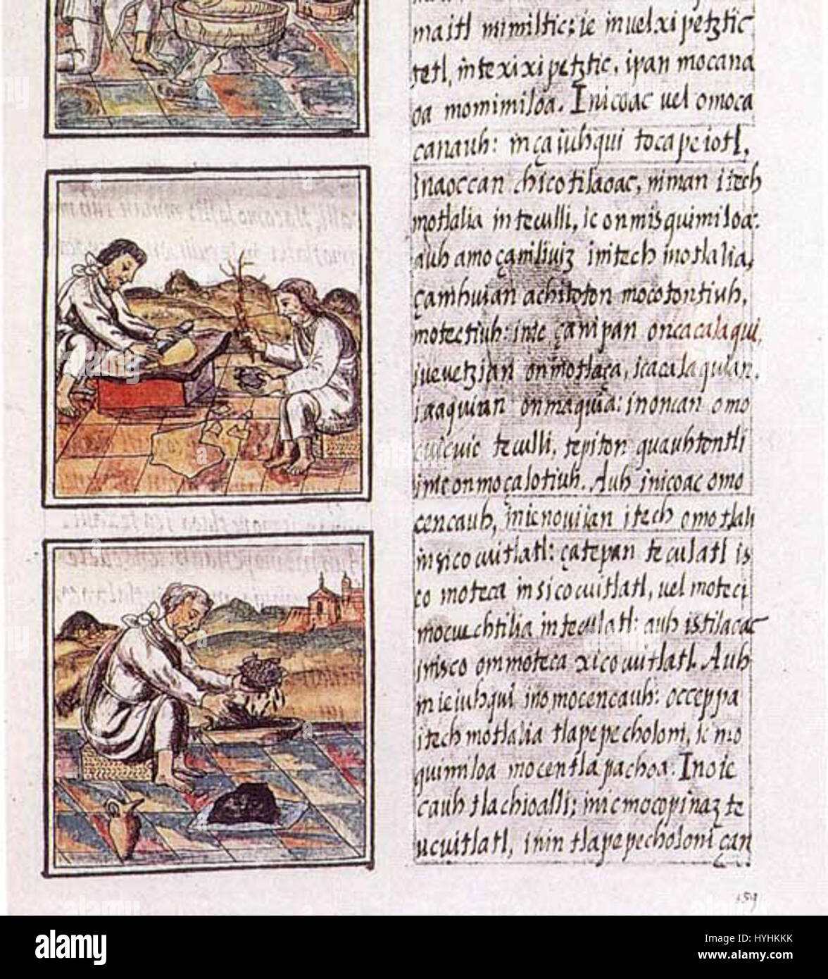 Codex florentino hi-res stock photography and images - Alamy