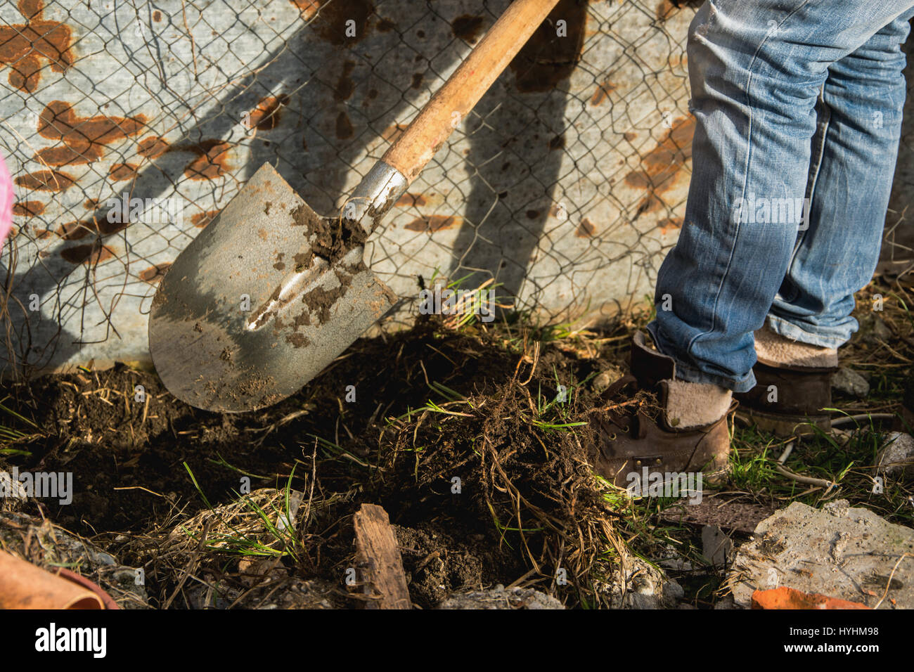 Man with a shovel, digging the soil Stock Photo - Alamy
