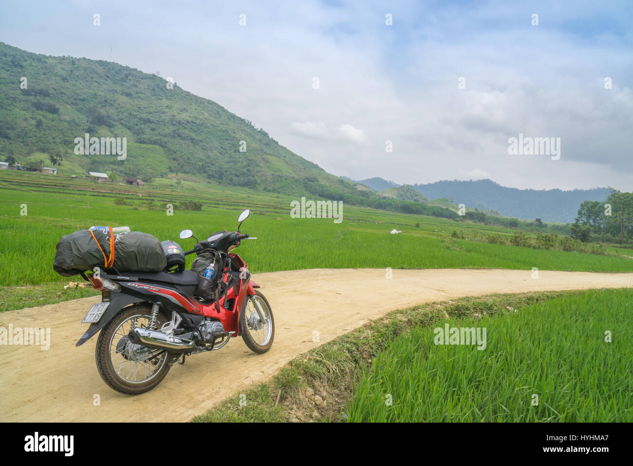 Motorbike between rice fields in Vietnam Stock Photo - Alamy