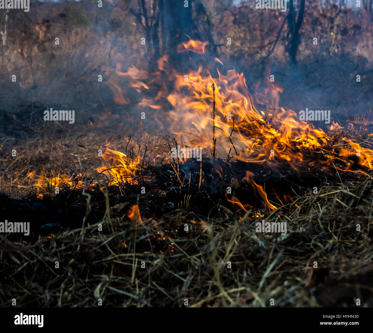 Burning grass hi-res stock photography and images - Alamy
