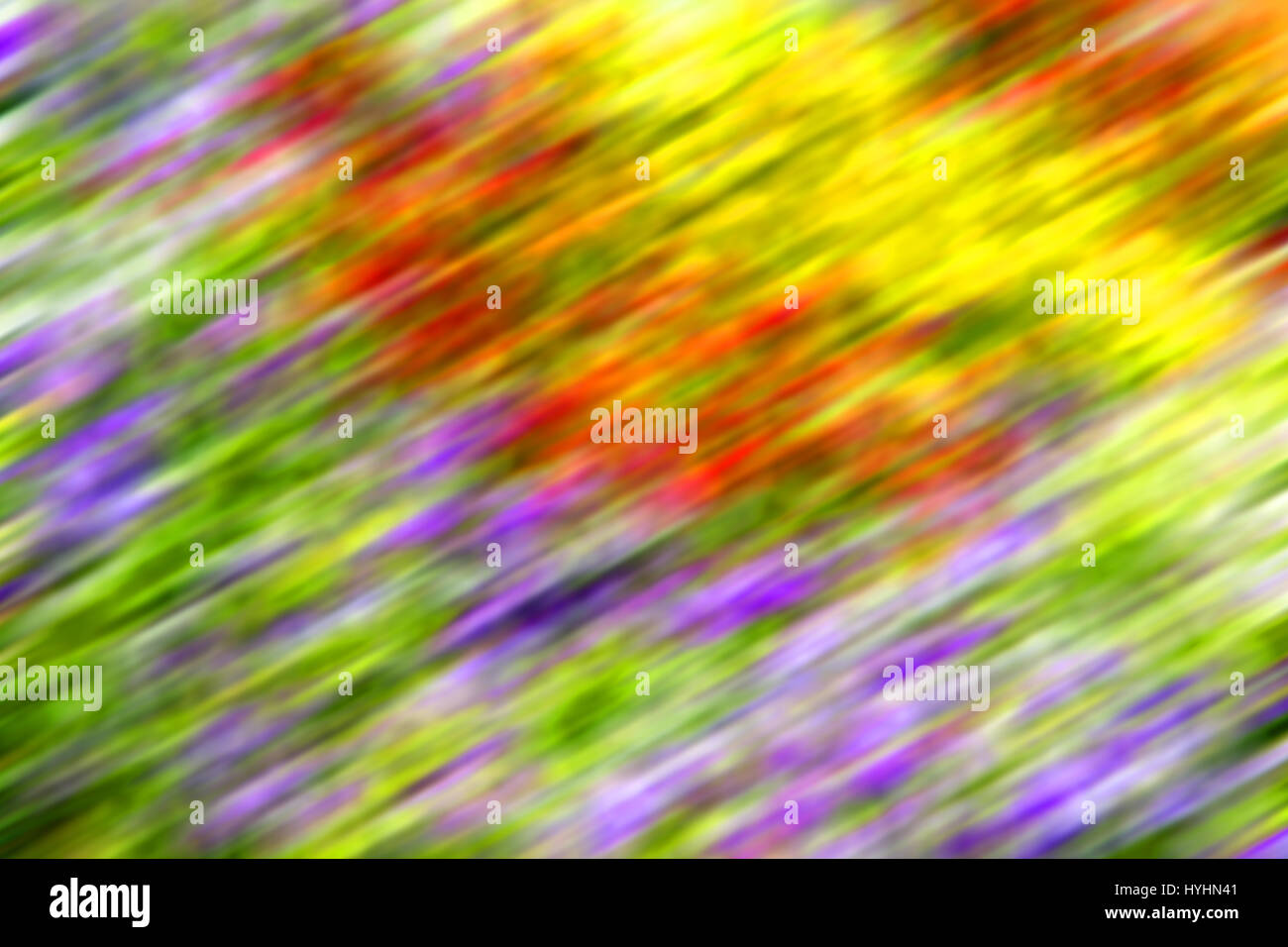 blur in the spring colors flowers and garden Stock Photo - Alamy