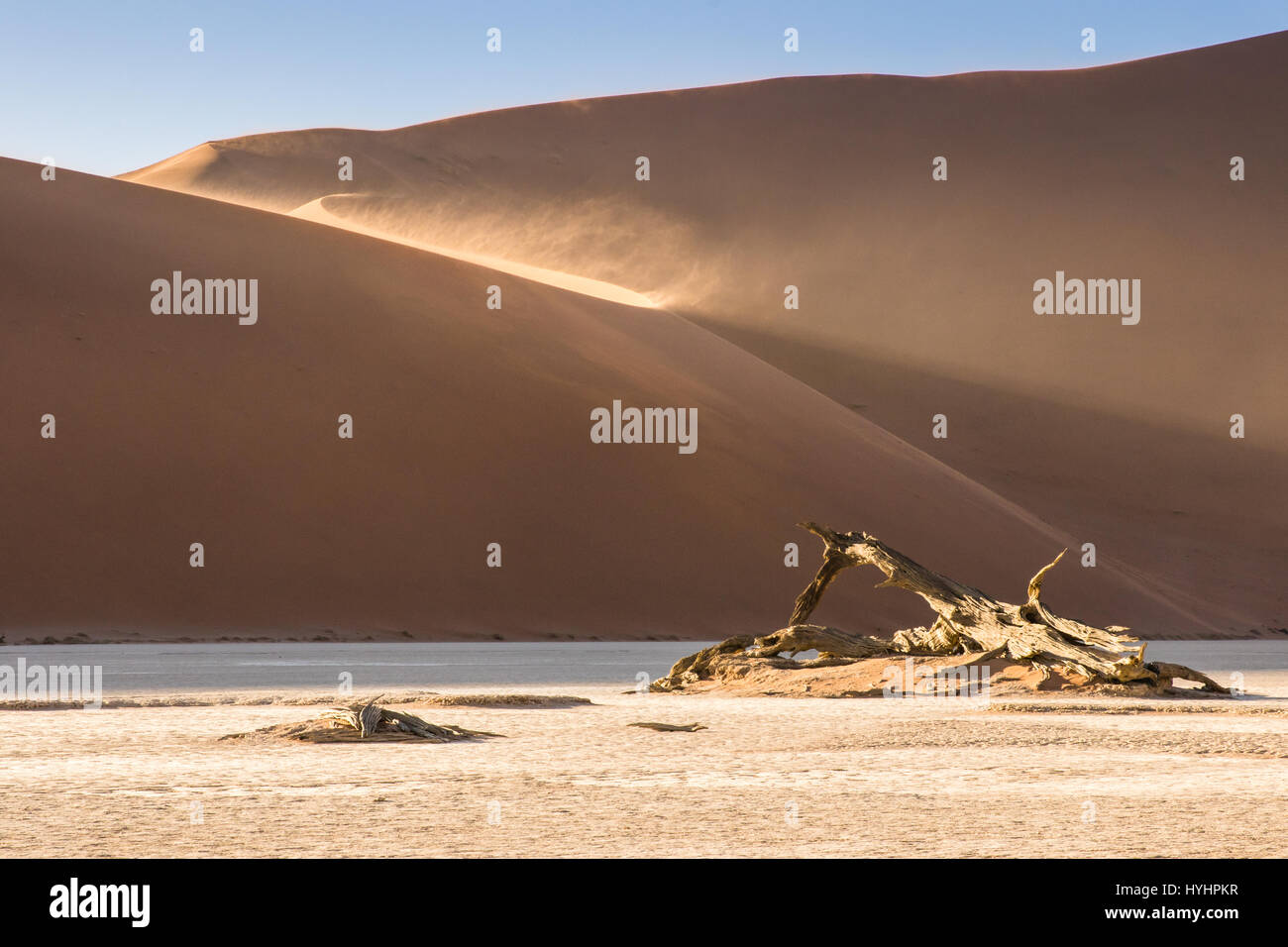 Blowing wind in the desert Stock Photo - Alamy