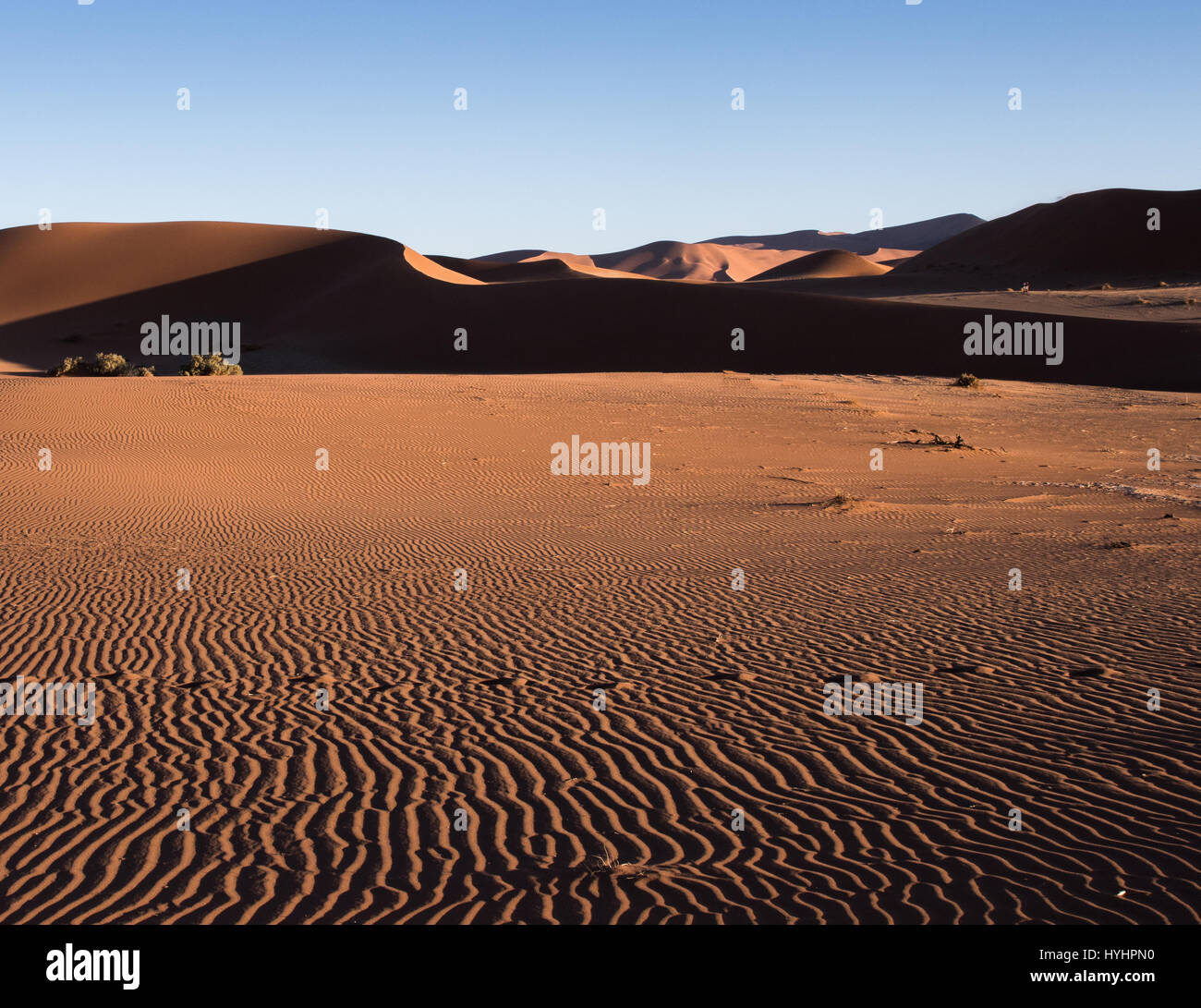 Rivers of Sand Stock Photo - Alamy