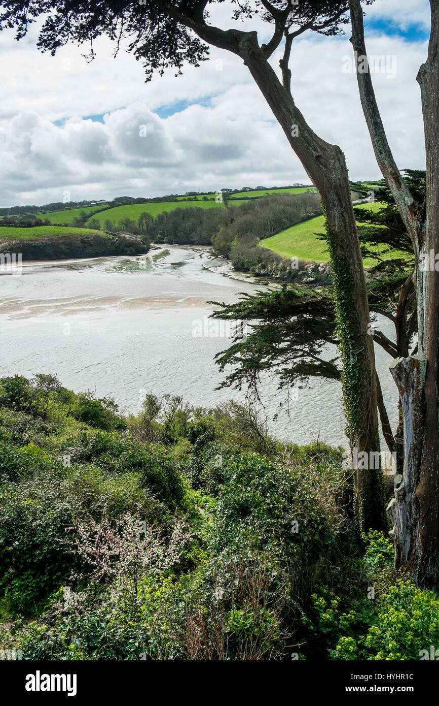 The Gannel Estuary in Newquay, Cornwall Stock Photo - Alamy