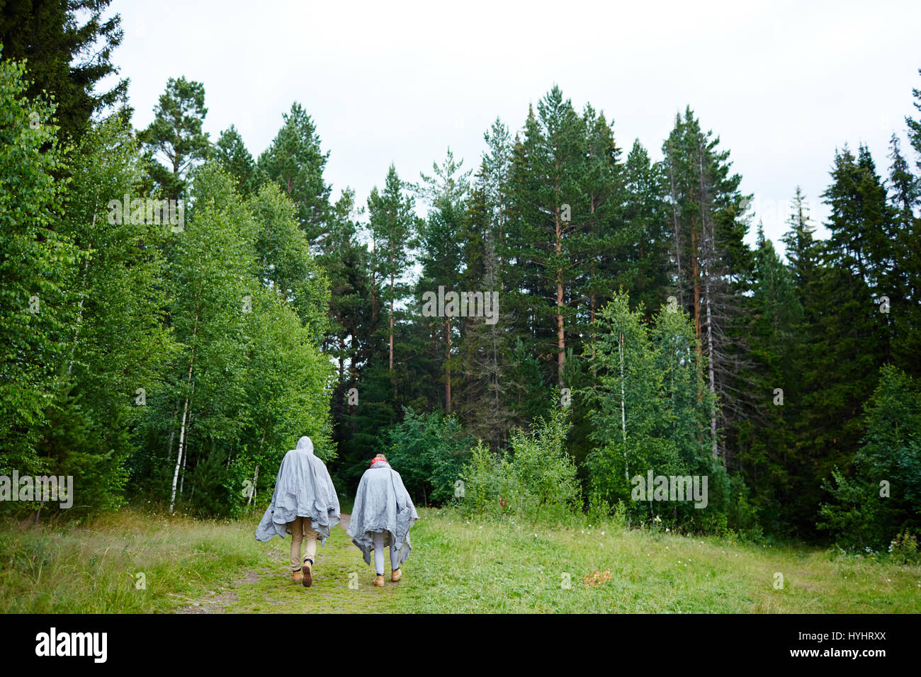 Hiking in forest Stock Photo - Alamy
