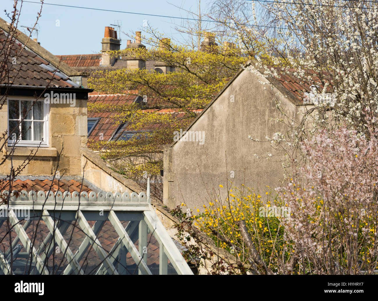 Bathstone terraces in Bath, England Stock Photo - Alamy