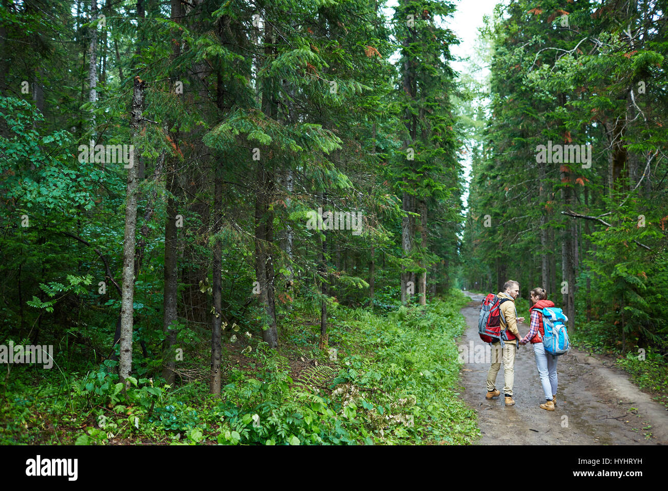 Forest hiker hi-res stock photography and images - Alamy