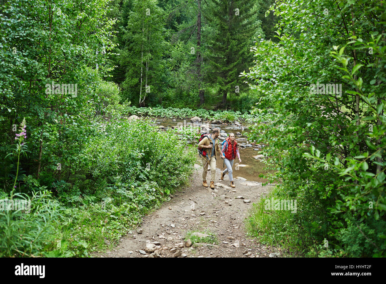 Forest hiker hi-res stock photography and images - Alamy