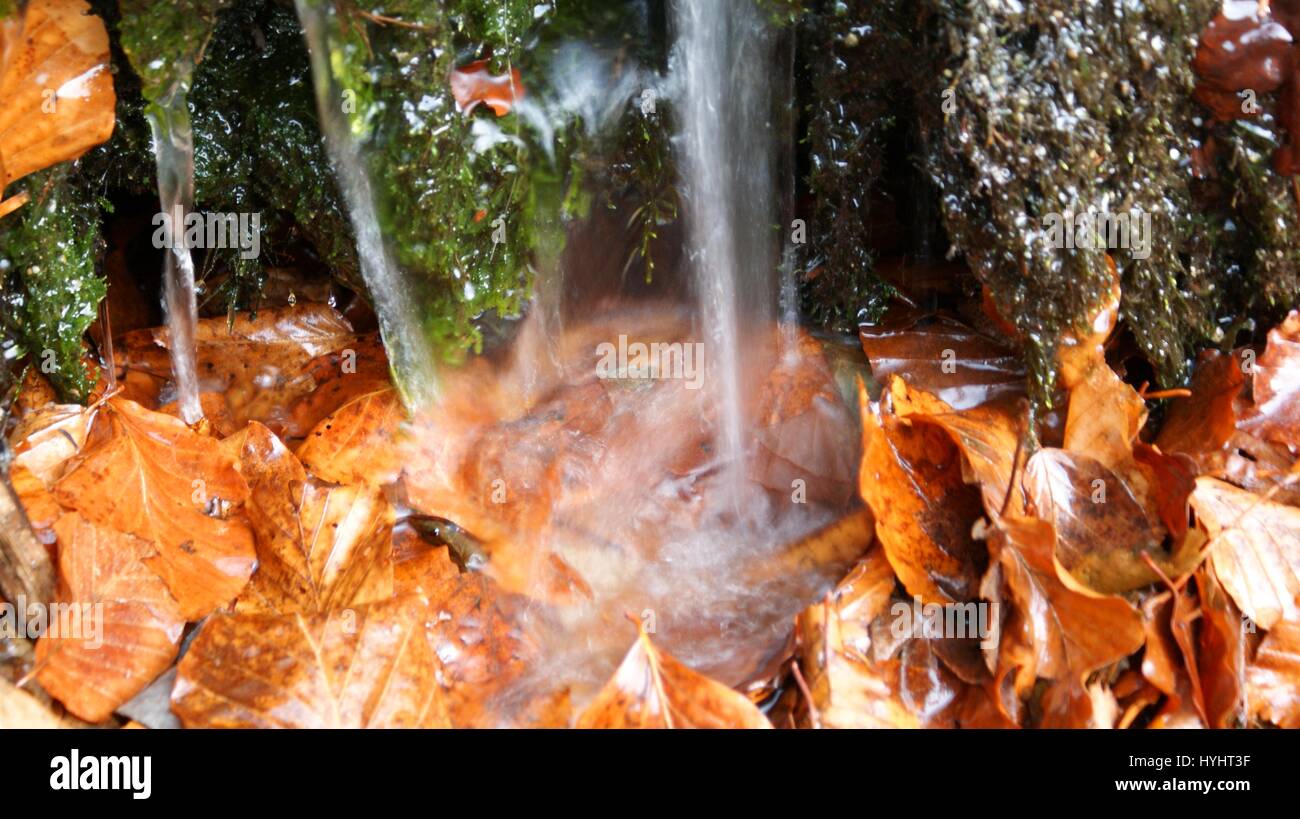 Mountain Spring Water Falling on Leaves Stock Photo - Alamy