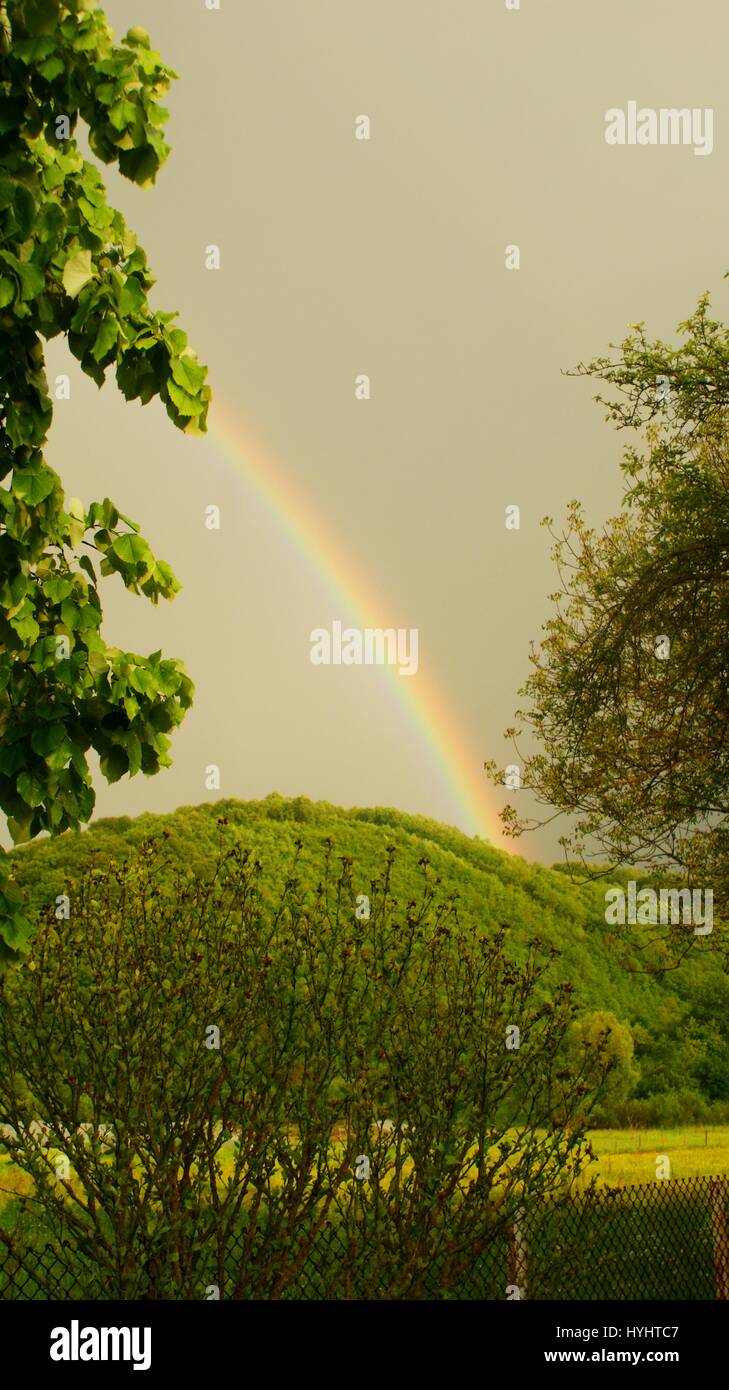 Touch of Rainbow Over a Forest Stock Photo - Alamy