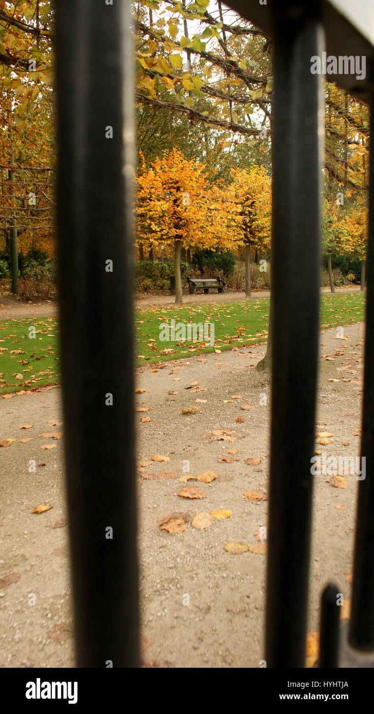 Looking through the bars hi-res stock photography and images - Alamy
