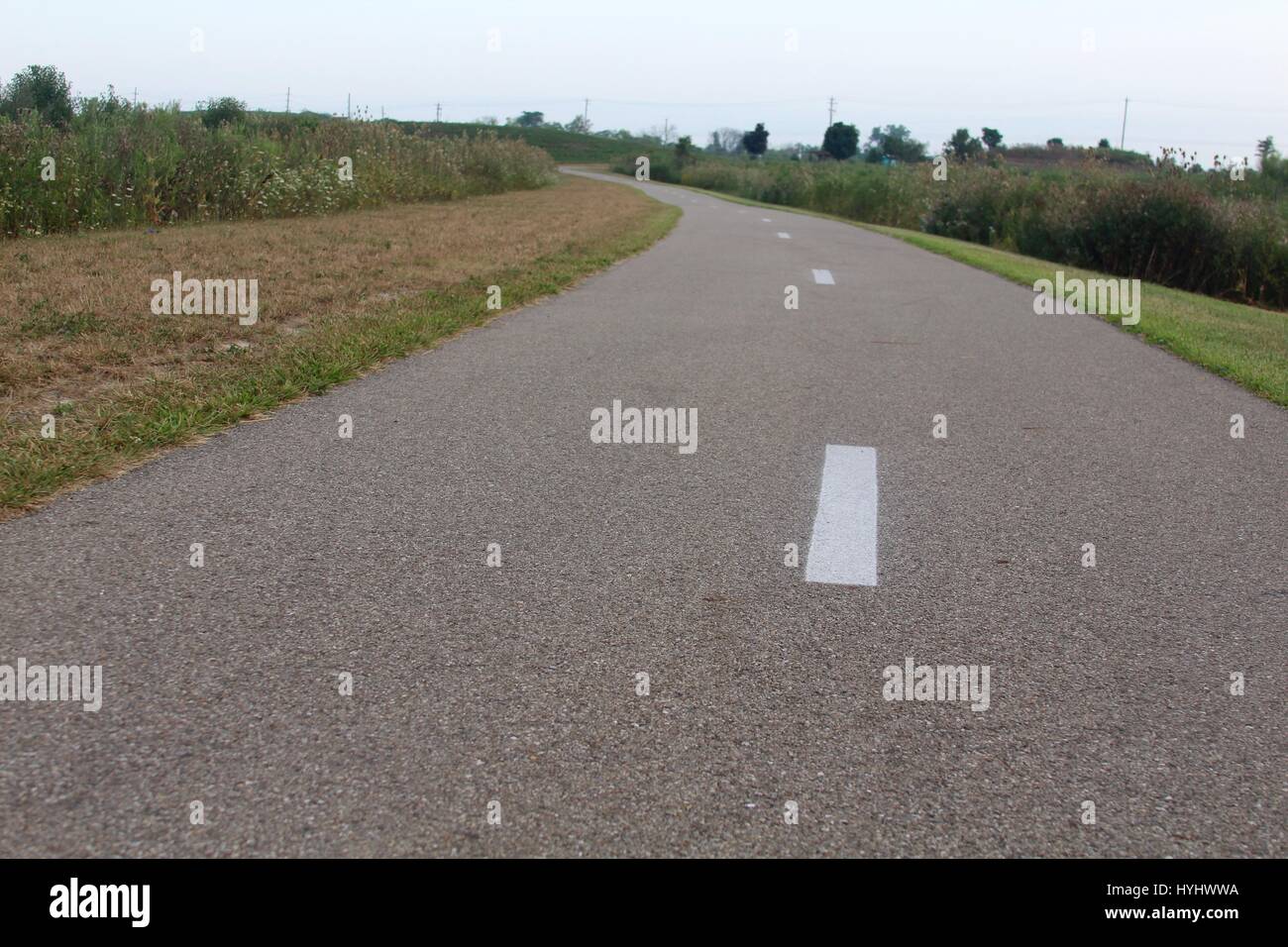 Low angle view of the divided lined path in the park Stock Photo - Alamy