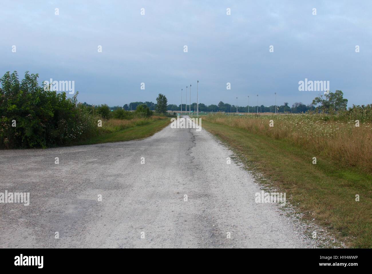 Low angle view of the divided lined path in the park Stock Photo - Alamy
