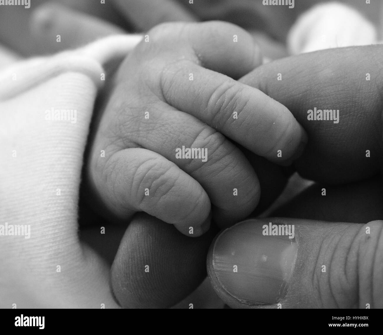 Baby grabbing adult finger hi-res stock photography and images - Alamy