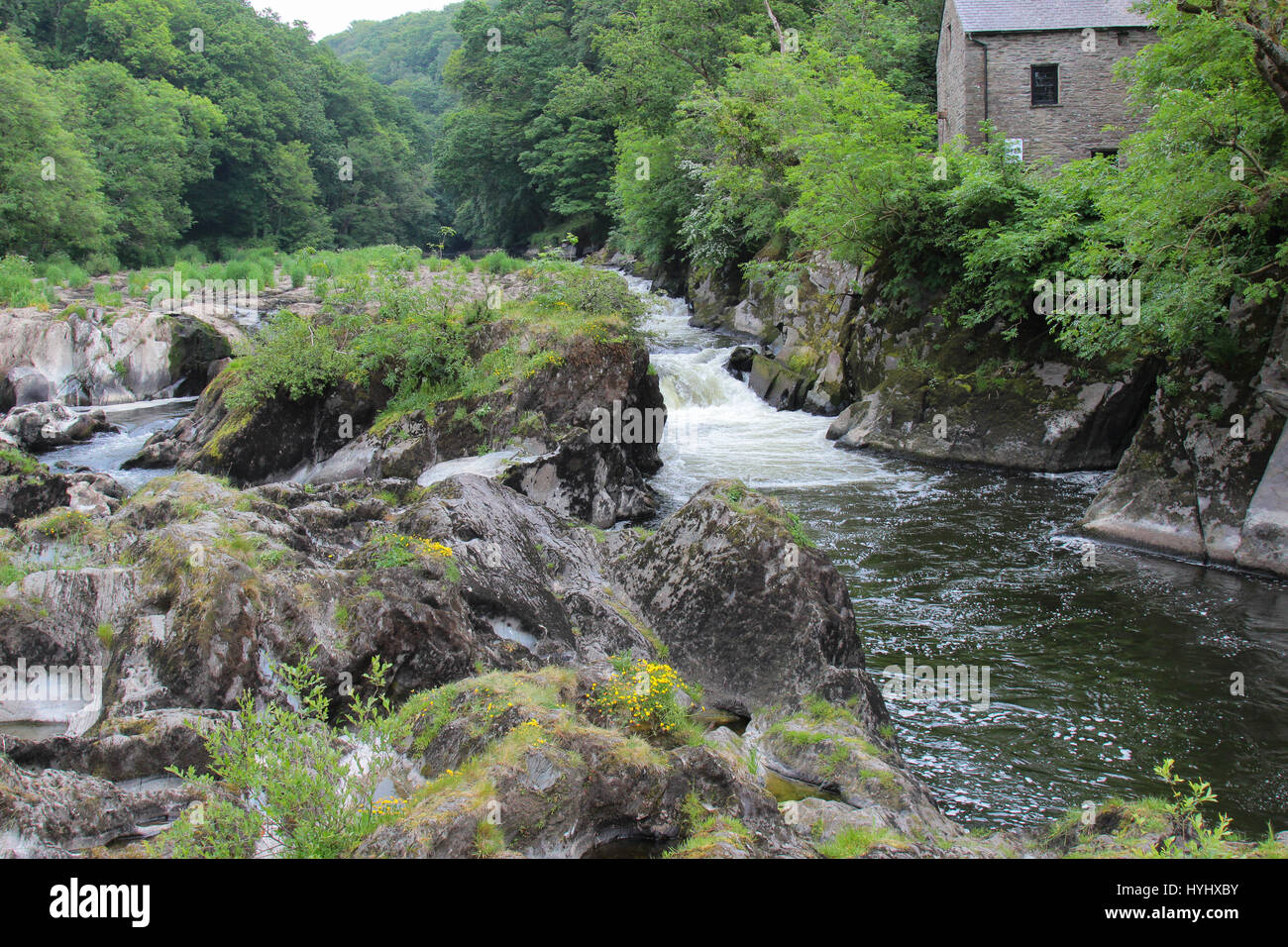 Cenarth falls hi-res stock photography and images - Alamy