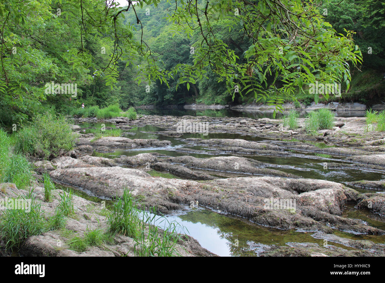 Bridge at Cenarth Falls, River Teifi, Ceredgion, Wales UK Stock Photo ...