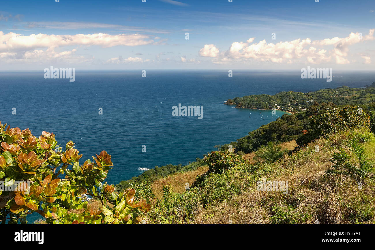 Castara Bay - Tobago island - Republic of Trinidad and Tobago Stock ...