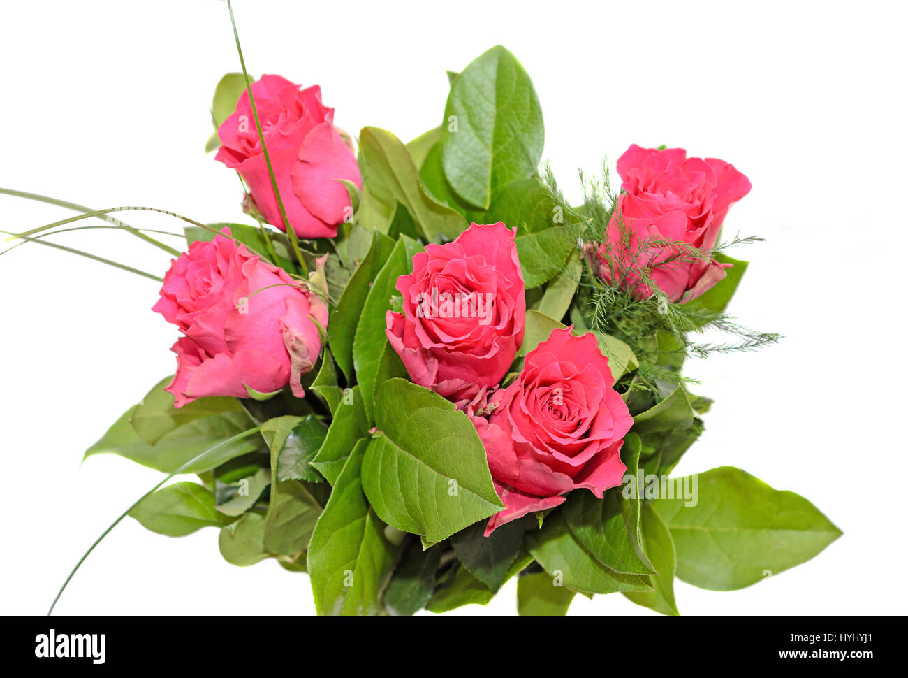 Dark pink roses flowers arrangement, green leaves bouquet isolated on ...