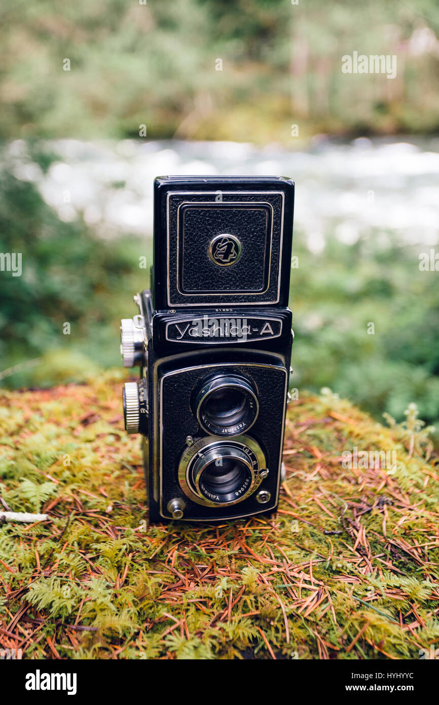 Twin lens reflex tlr camera hi-res stock photography and images - Alamy
