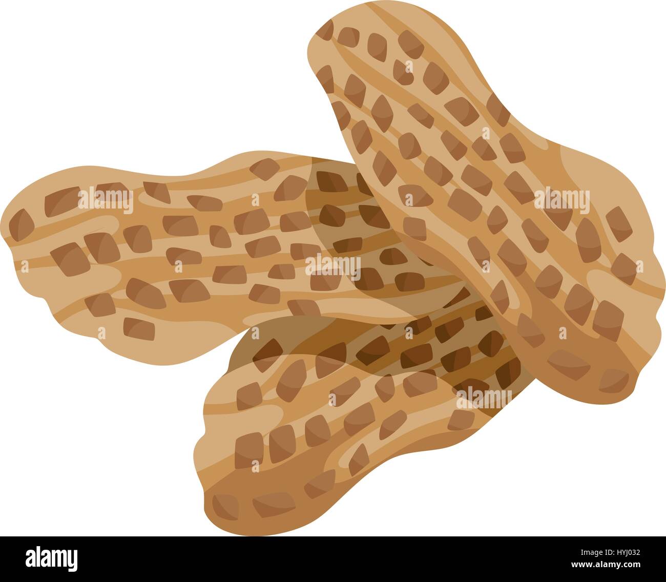 Peanuts in shell vector Stock Vector Images - Alamy