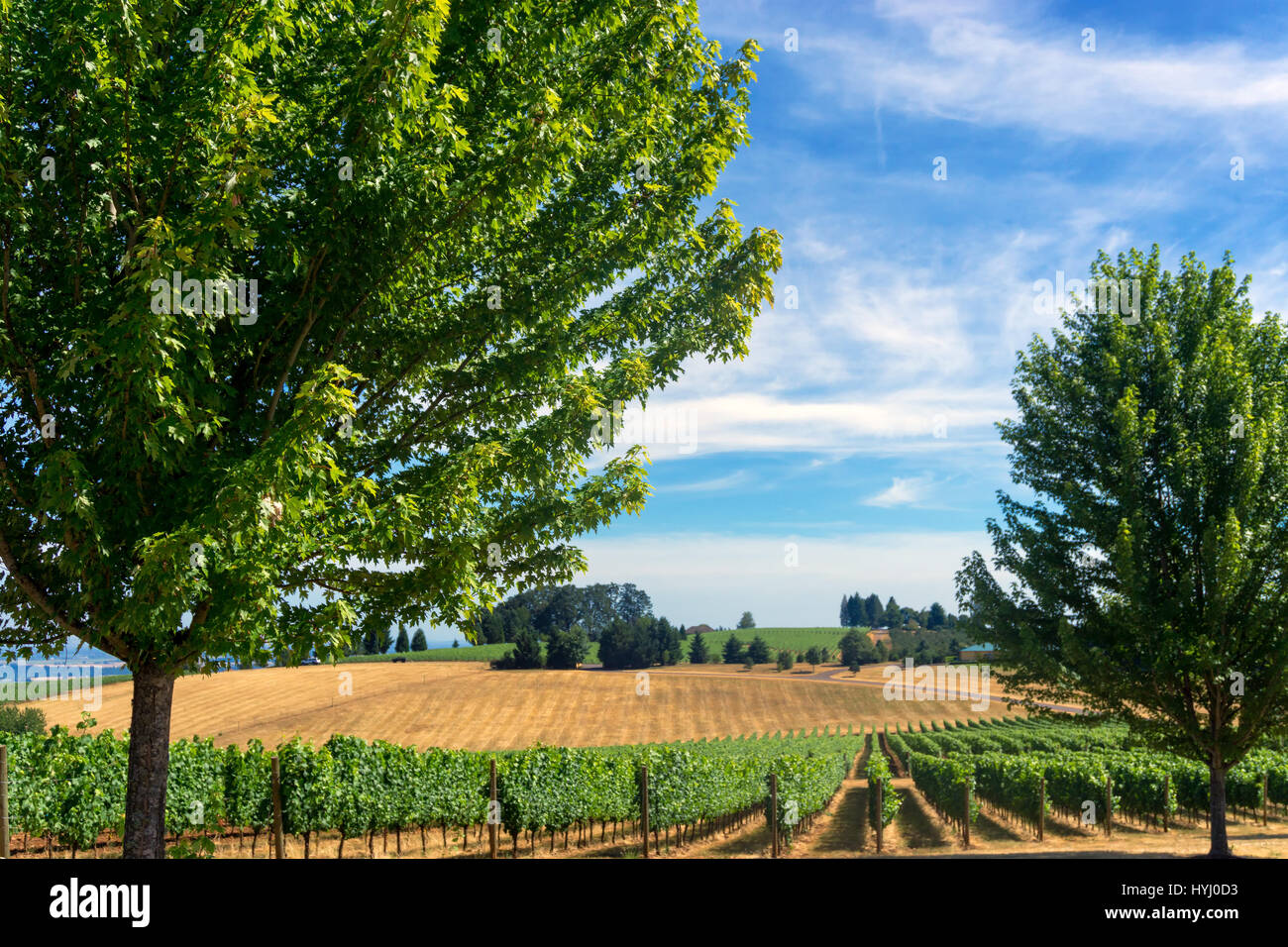 Rural dundee hi-res stock photography and images - Alamy