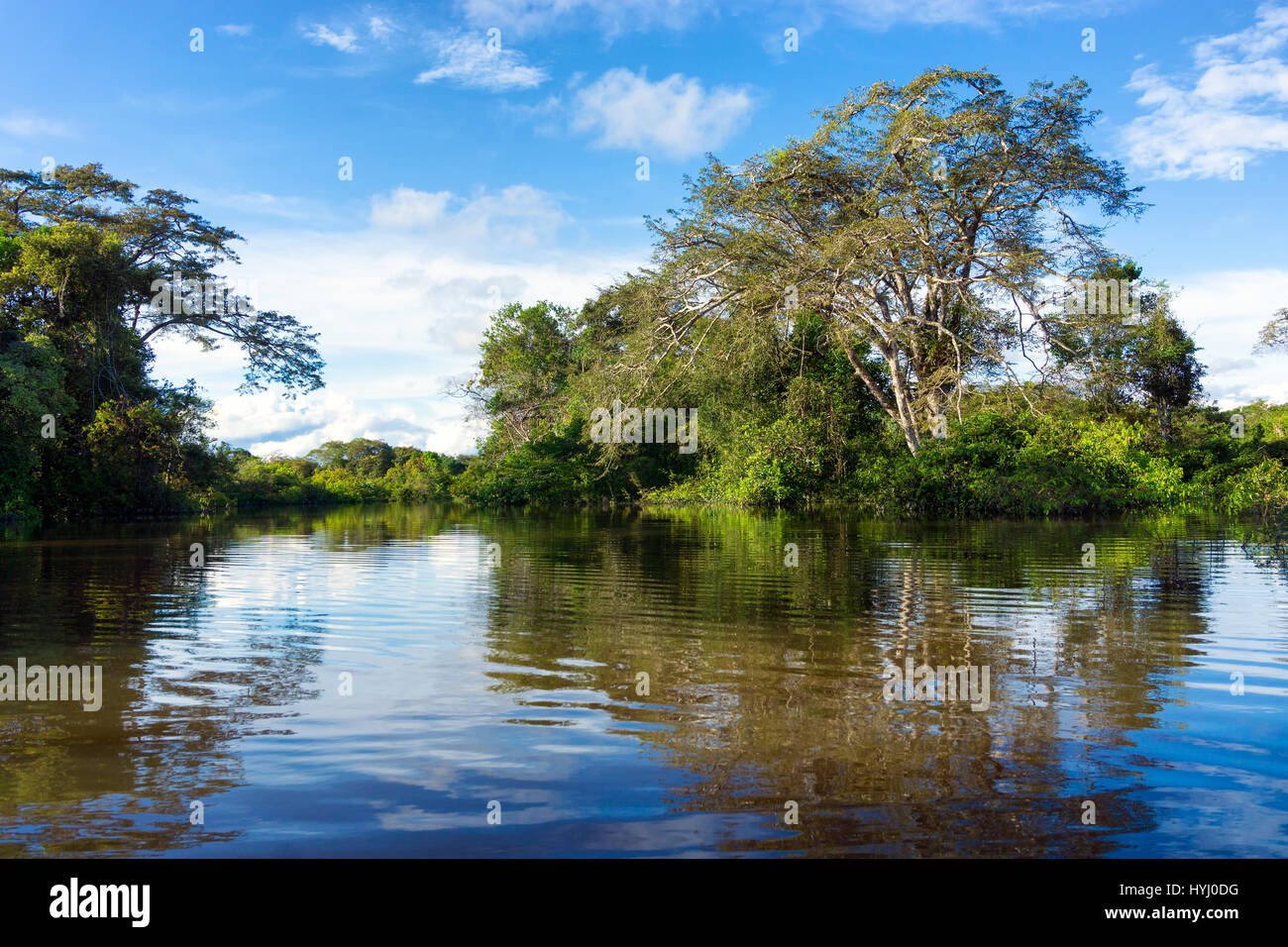 Flooded Amazon rain forest in Brazil Stock Photo - Alamy