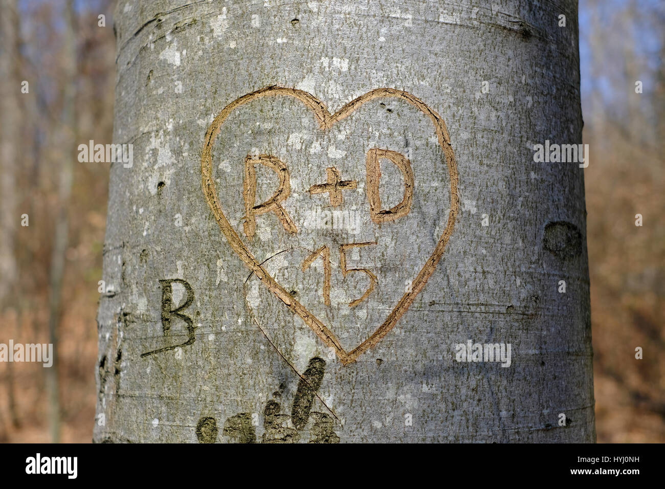 Carved into tree bark hi-res stock photography and images - Alamy