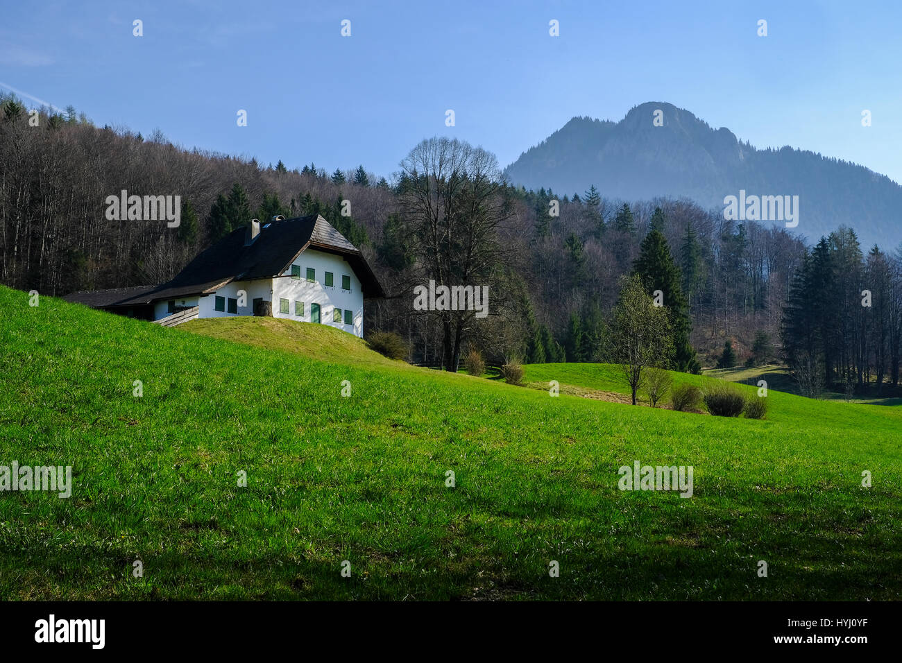 Austrian house with mountain and glade as backdrop Stock Photo - Alamy