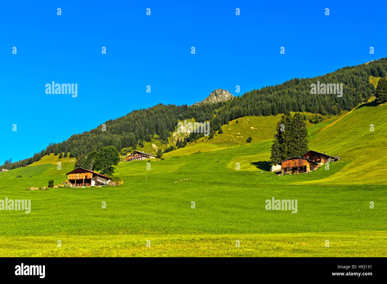 Alpine meadows hi-res stock photography and images - Alamy