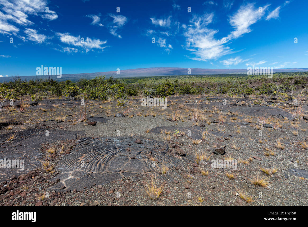 Pahoehoe lava from Kilauea volcano eruptions, Mauna Loa volcano in the ...