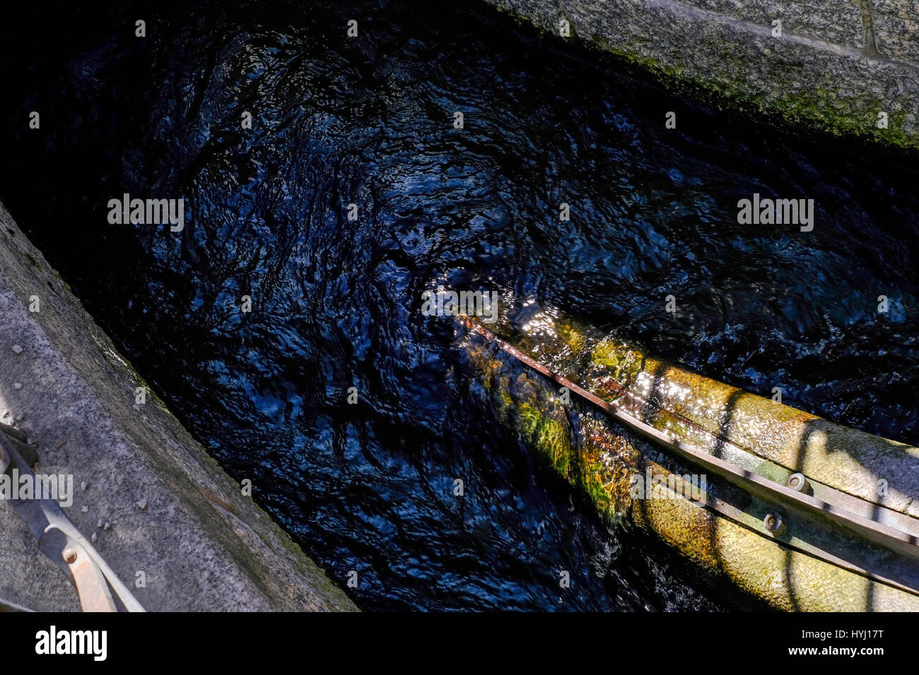 Natural spring in Salzburg old town Stock Photo - Alamy