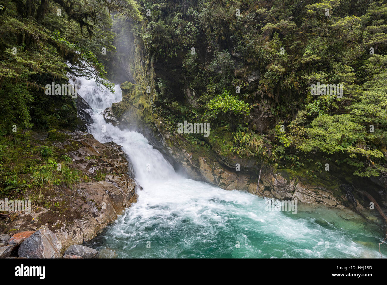 Falls creek fiordland national park hi-res stock photography and images ...
