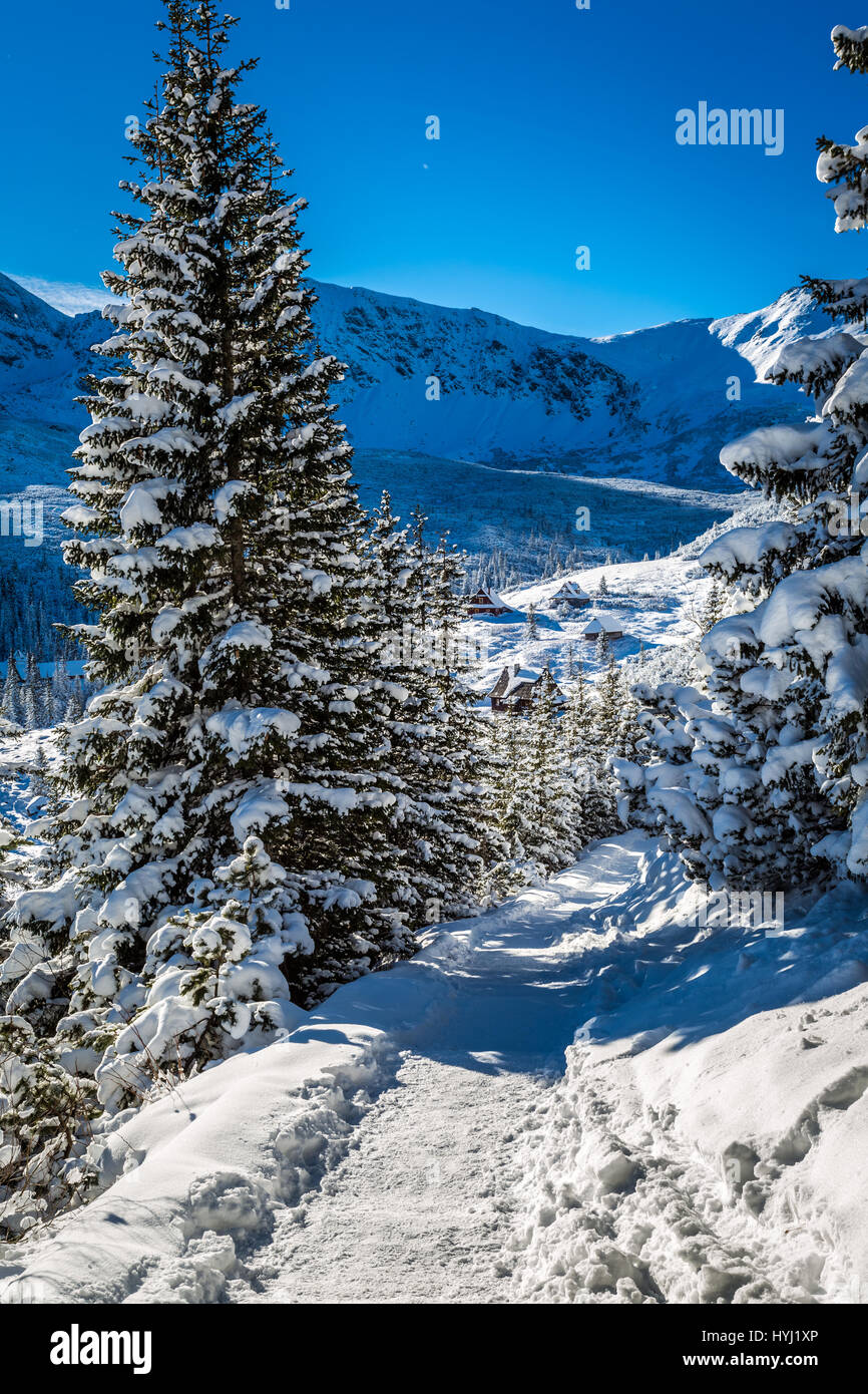 Cold day in Tatra Mountains in Poland Stock Photo - Alamy