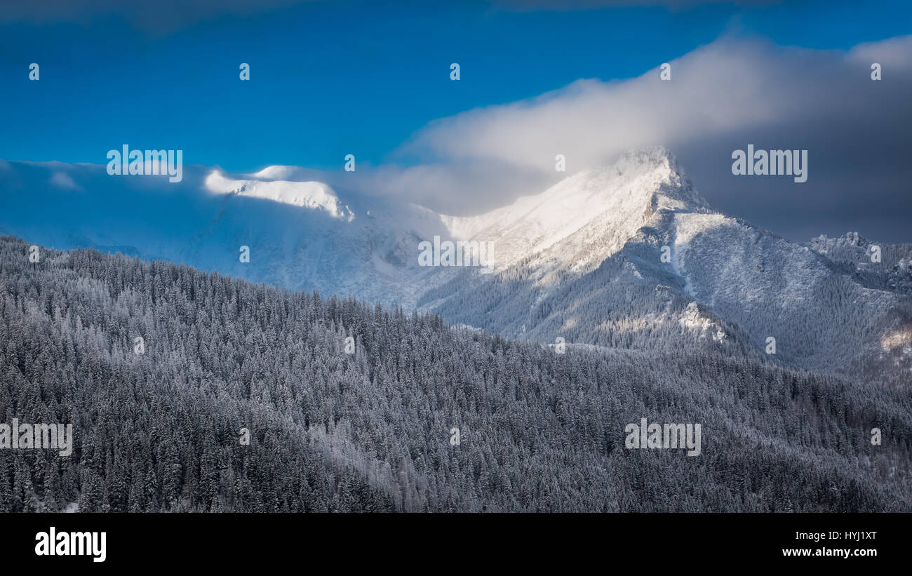Winter cold dawn in Tatra Mountains in Poland Stock Photo - Alamy