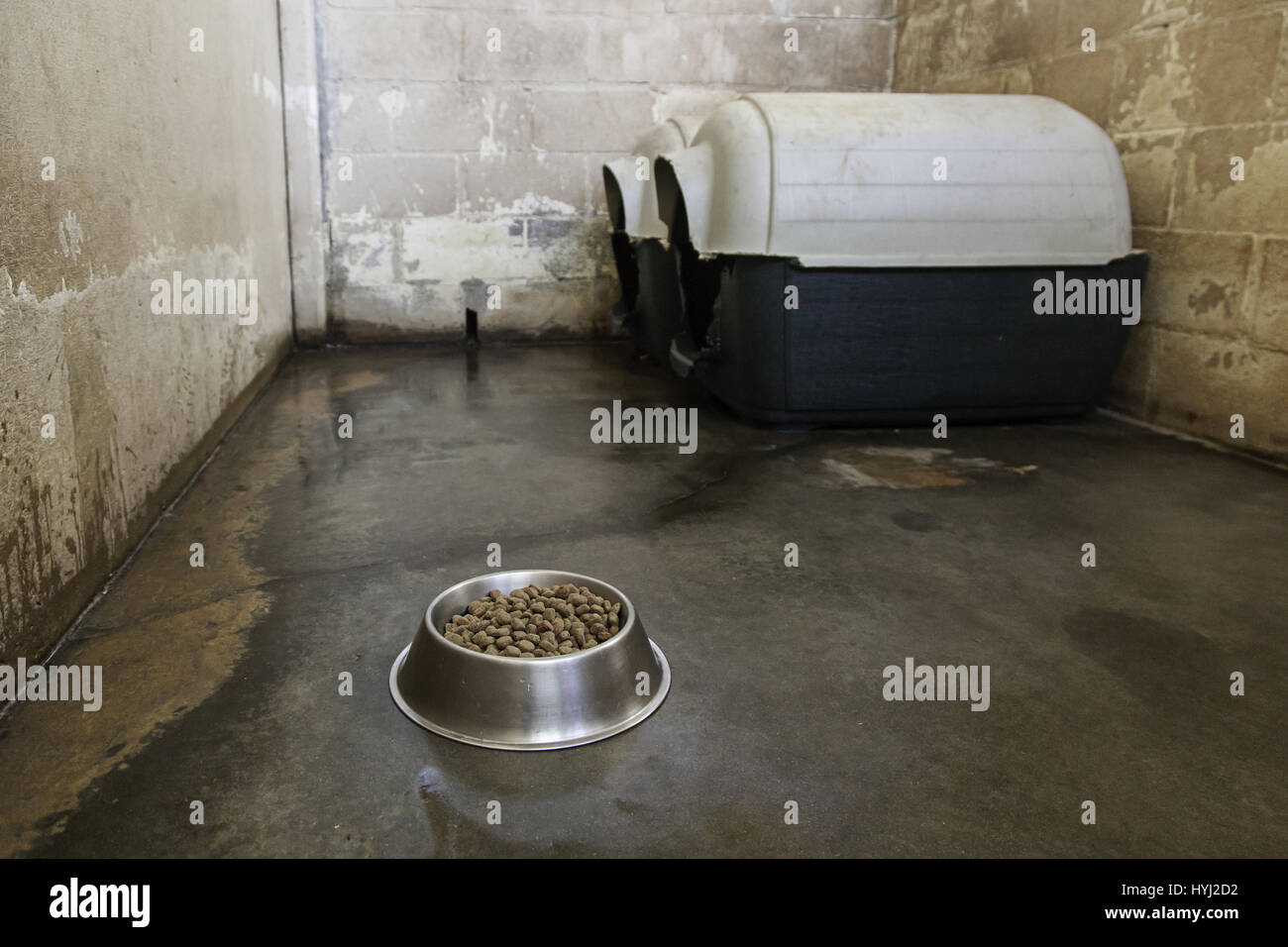 Animal cages empty hi-res stock photography and images - Alamy