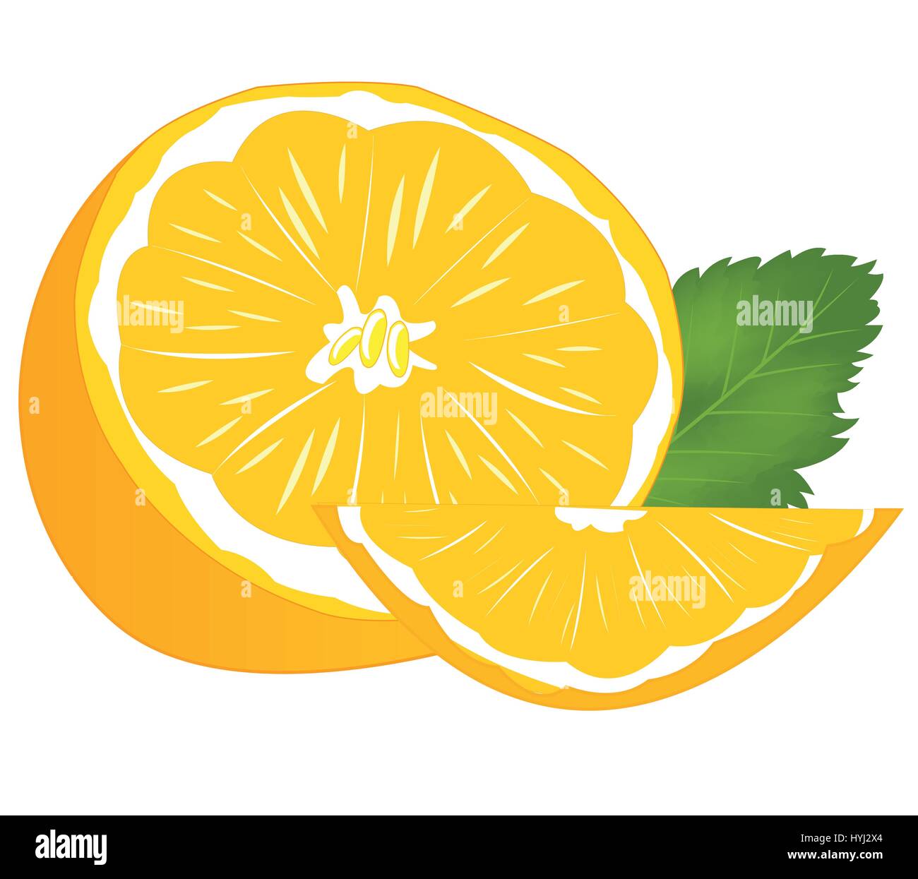 Tangerine jam Stock Vector Images - Alamy