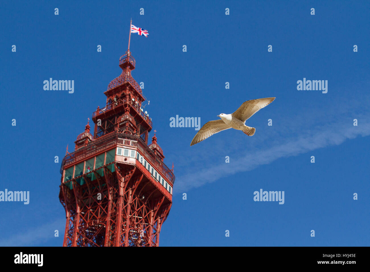 Human beachgoers hi-res stock photography and images - Alamy